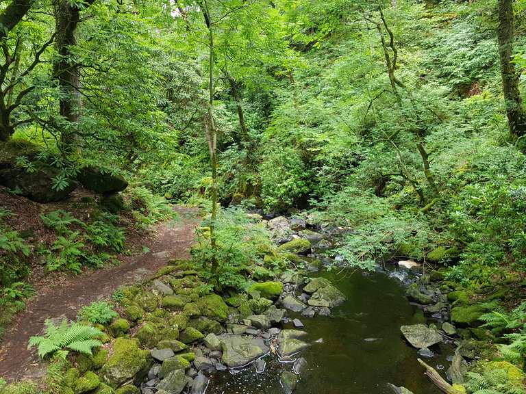 Stanley Ghyll Force Routes for Walking and Hiking | Komoot