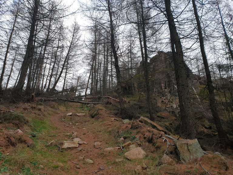 Puklá skála Routes for Walking and Hiking | Komoot