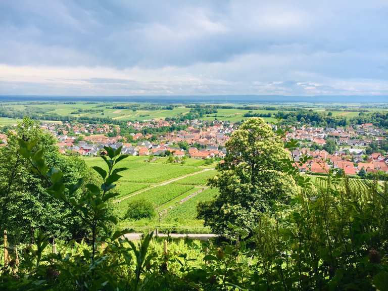 Stage 4: Albersweiler-Sankt Johann to Bad Bergzabern — the German Wine ...
