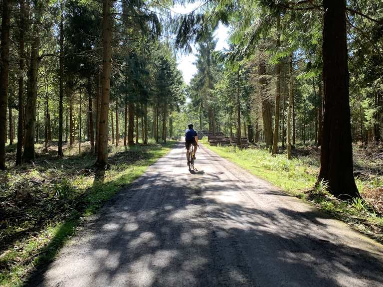 Forest route to the Longleat Estate Road Cycle Routes and Map | Komoot