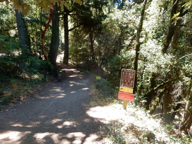 Tafoni Trail to Fir Trail Junction 🌳 Corte de Madera OSP - Routes for ...