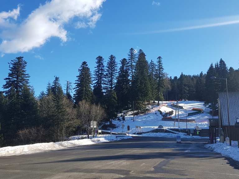 Col de Turini - Cycle Routes and Map | Komoot