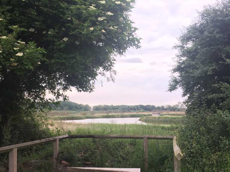 Portrack Marsh Nature Reserve Routes for Walking and Hiking | Komoot