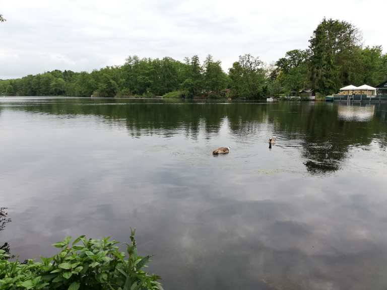 Hariksee Routes for Walking and Hiking | Komoot