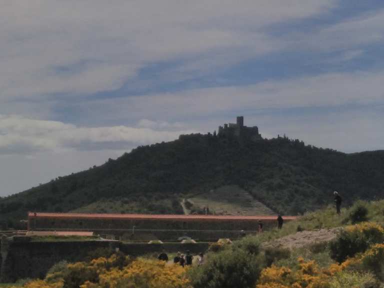 Sentier côtier de la plage de l'Ouille à Collioure - Itinéraires de ...