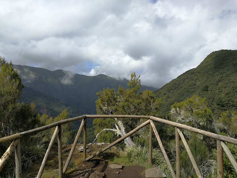Levada dos Cedros e Fanal — Rundweg PR14 auf der Insel Madeira ...