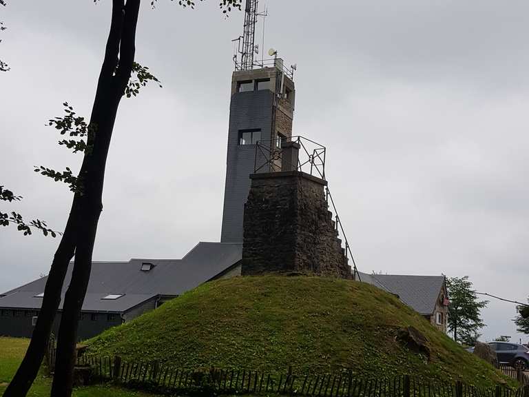 Signal de Botrange: MTB-routes en trails | Komoot