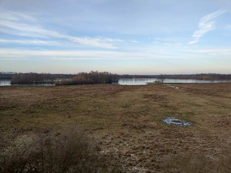 Aussichtsturm Ilkerbruch Routes for Walking and Hiking | Komoot