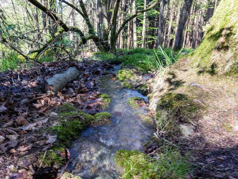 Steinerne Rinne bei Erasbach: Wanderungen und Rundwege | komoot