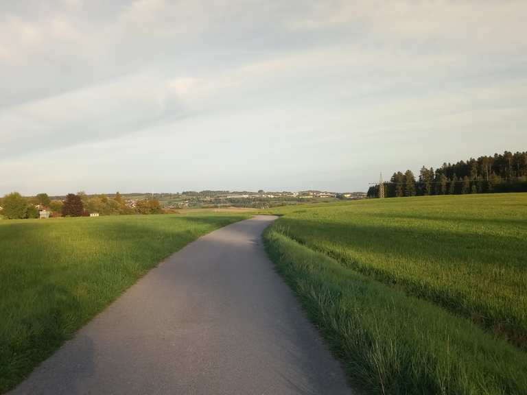 Wald- und Wiesenroute von Musbach nach Freudenstadt: Mountainbike ...