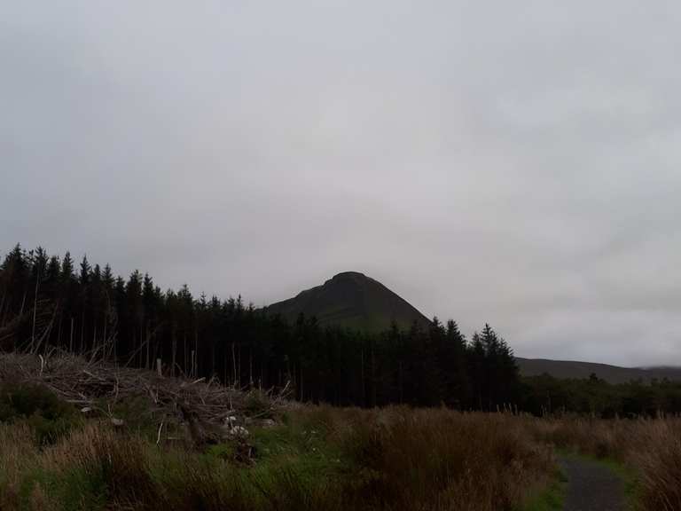 Benbulben Routes for Walking and Hiking | Komoot