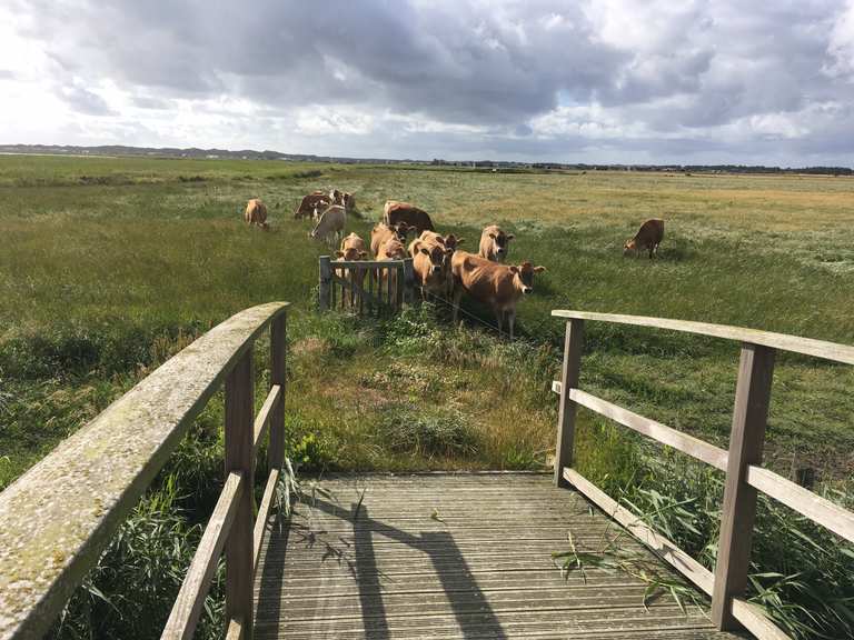 Ferring See Routes for Walking and Hiking | Komoot