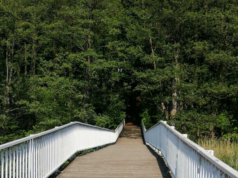 Schwentinebrücke bei Oppendorf: Mountainbike-Touren und -Trails | komoot