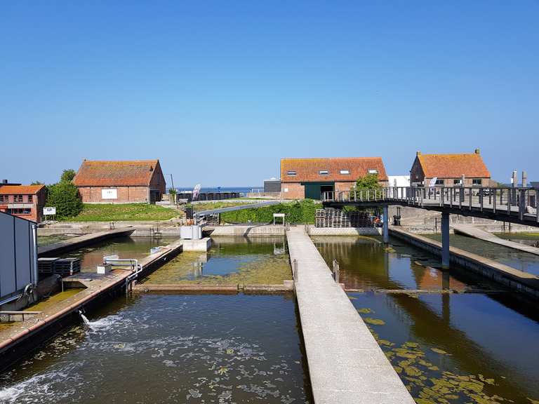 Oesterij Yerseke: Wanderungen und Rundwege | komoot