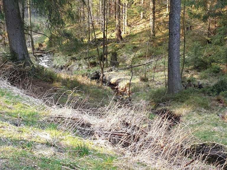 Leise plätschernder Bach: Wanderungen und Rundwege | komoot