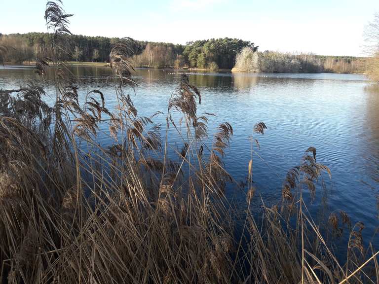 Strandhaus Grashof am Rothsee Routes for Walking and Hiking | Komoot