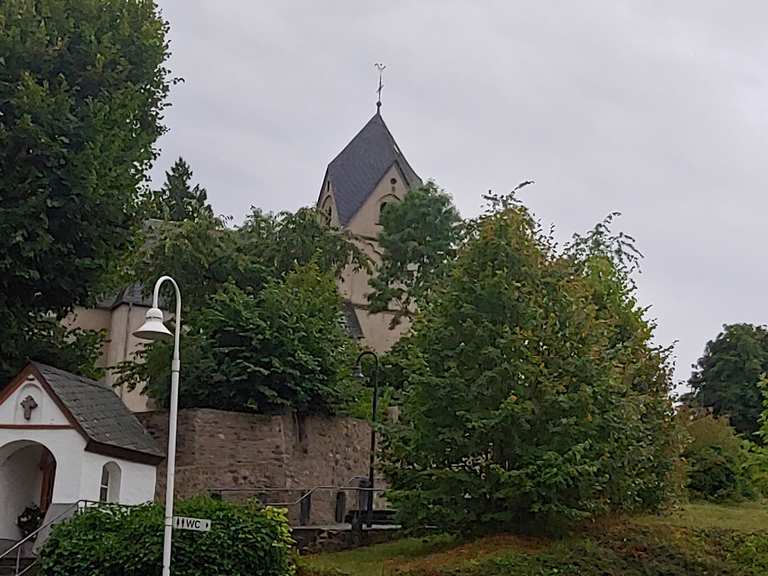 Rhens am Rhein Routes for Walking and Hiking | Komoot