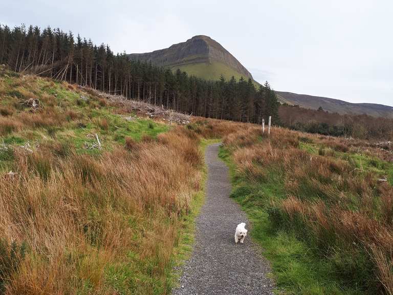 Ben Bulben Routes for Walking and Hiking | Komoot