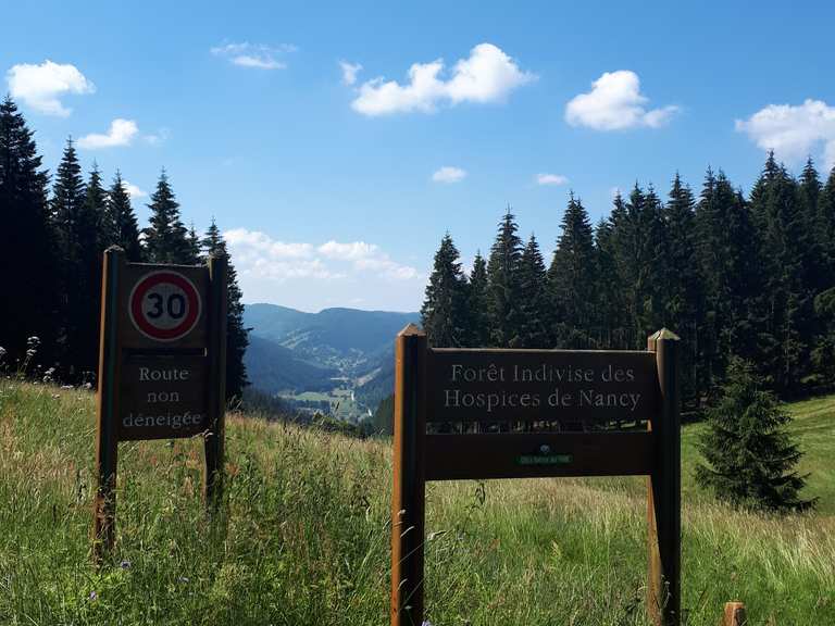 Le Collet-Le Valtin-Col du Louchpach-Col du Calvaire: Rennradfahren und ...