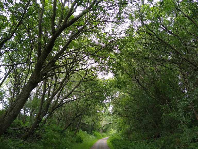 Waskerley Way Cycle Routes and Map | Komoot