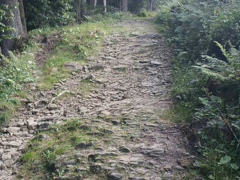 steiler steiniger Anstieg - Mountain Bike Trails & Tracks | Komoot