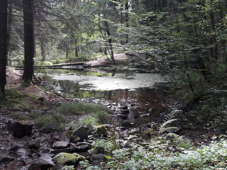 Rohrbacher Weiher mit Kneipp Becken: Mountainbike-Touren und -Trails ...