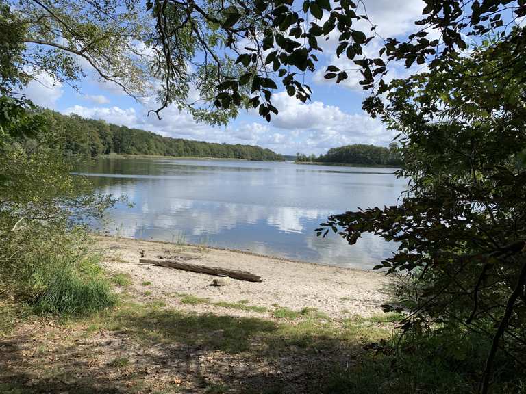 Großer Seddiner See: Wanderungen und Rundwege | komoot