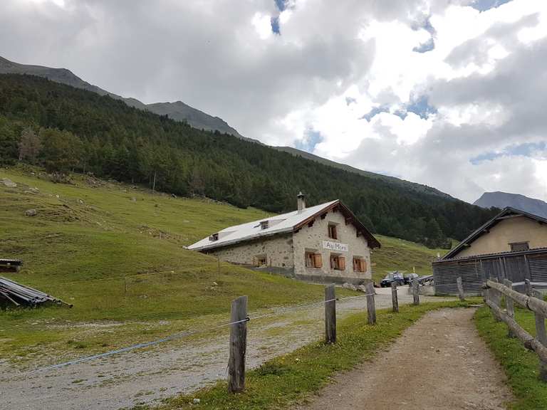 Alp Mora: MTB-routes en trails | Komoot