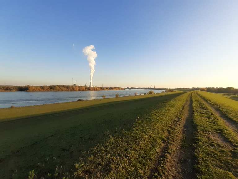 Rheindamm - Cycle Routes and Map | Komoot