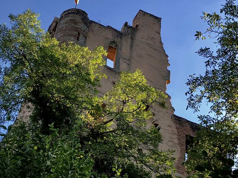 Burg Ramstein Routes for Walking and Hiking | Komoot