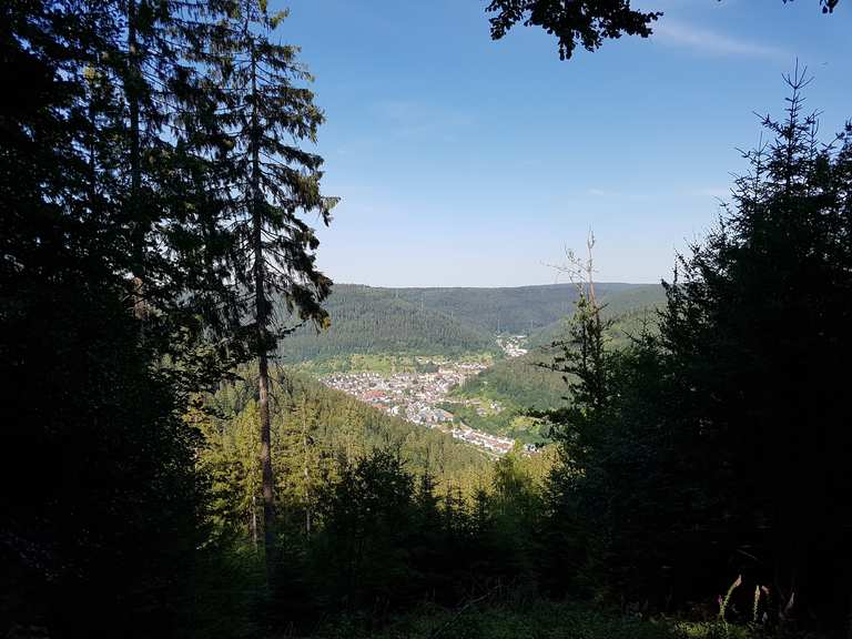 Calmbach liegt Dir zu Füßen: Wanderungen und Rundwege | komoot