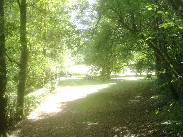 Picnic Area by the Our River – Hikes & How to Get There | Komoot