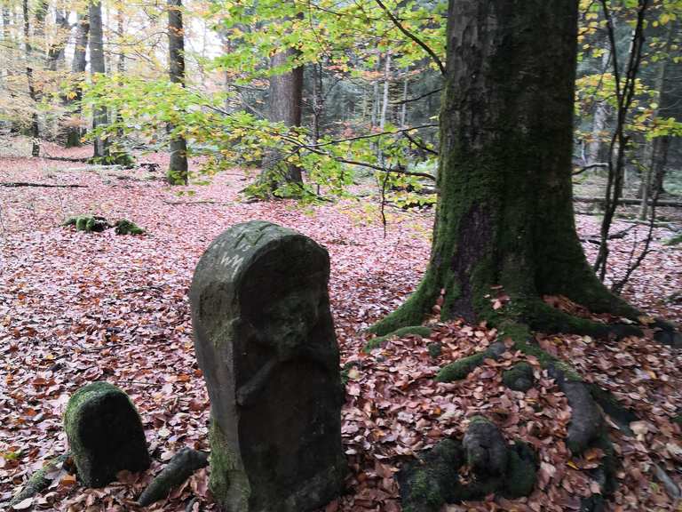 Tête de mort - Itinéraires de rando et marche | Komoot