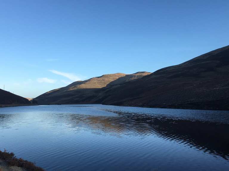 Loganlea Reservoir - Cycle Routes and Map | Komoot