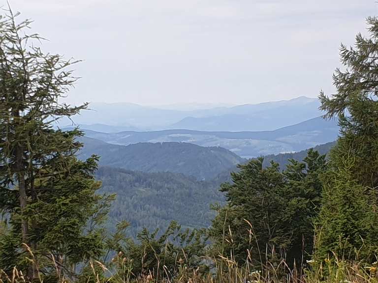 Hoher Zetz wandelroutes en hikes | Komoot