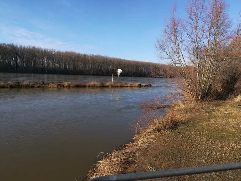 Rheinblick Trebur Steindamm : Radtouren und Radwege | komoot