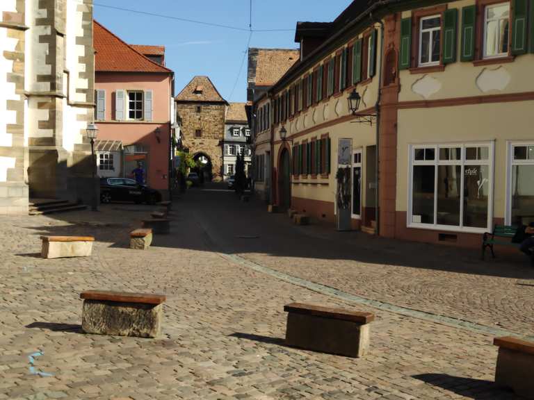 Altstadt von Freinsheim: Rennradfahren und Rennradtouren | komoot