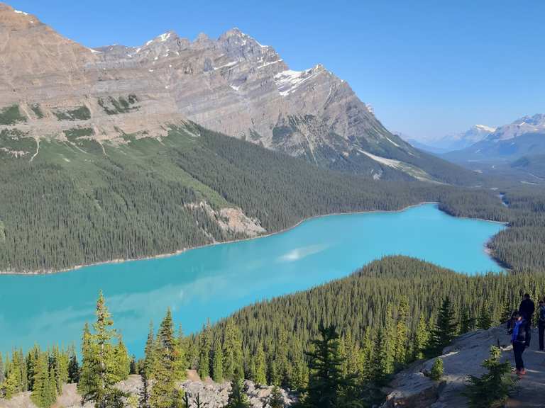 Peyto Lake Viewpoint Routes for Walking and Hiking | Komoot