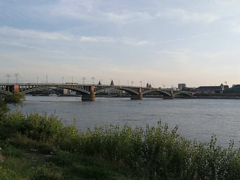 Neues Rheinufer mit Blick auf Mainz: Radtouren und Radwege | komoot