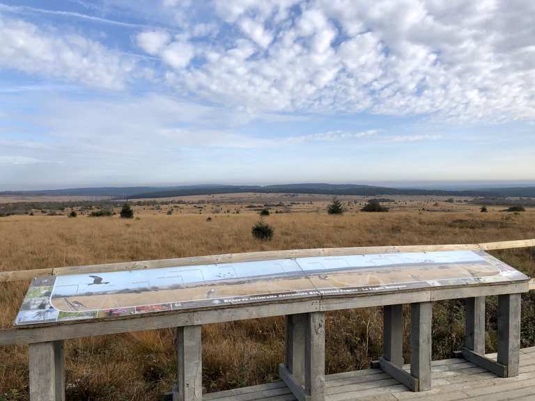 Aussichtspunkt Signal de Botrange: Wanderungen und Rundwege | komoot