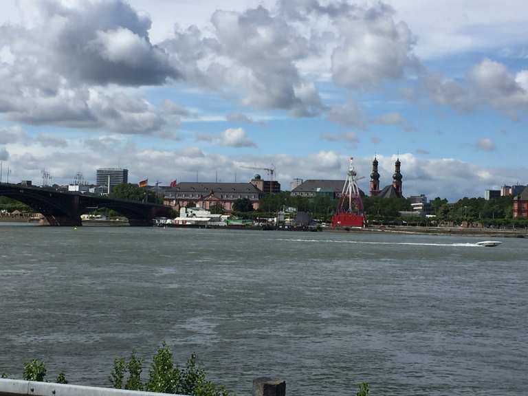 Neues Rheinufer mit Blick auf Mainz: Radtouren und Radwege | komoot