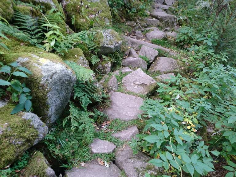 Chemin rocailleux Routes for Walking and Hiking | Komoot