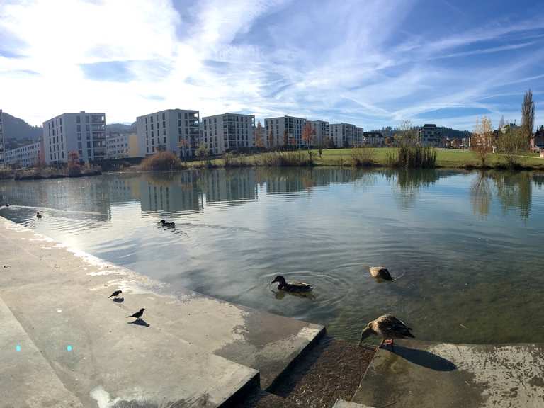 Liebefeld Park routes en kaart | Komoot