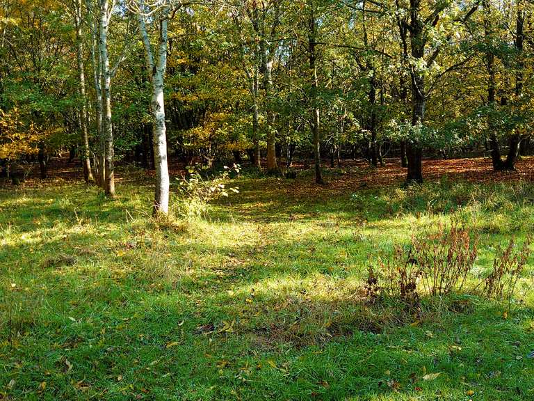 Shotover Country Park - Cycle Routes and Map | Komoot