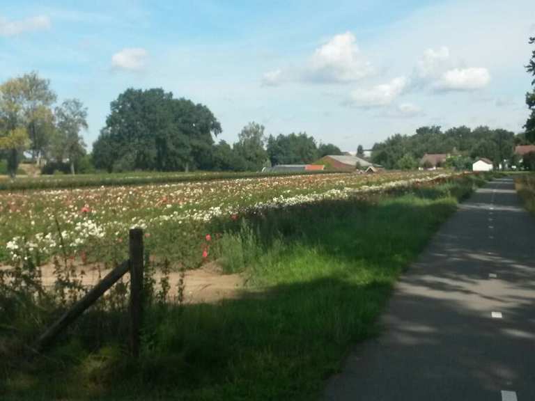 Rozendorp Lottum - Cycle Routes and Map | Komoot