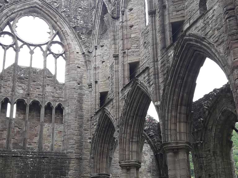 Tintern Abbey Routes for Walking and Hiking | Komoot