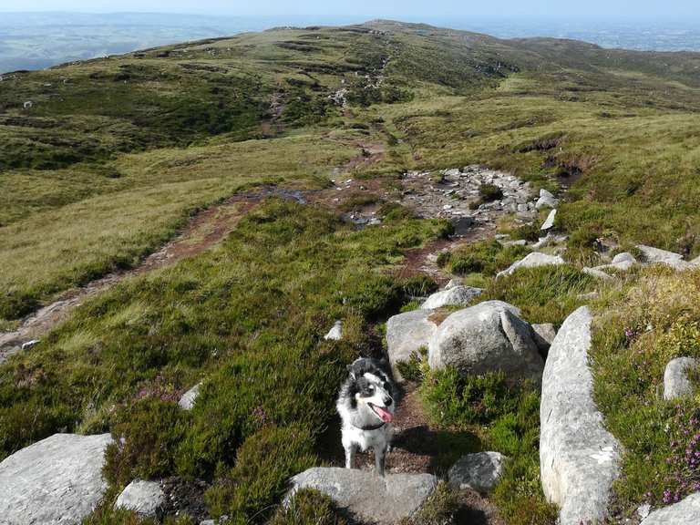 Slieve Gullion Routes for Walking and Hiking | Komoot