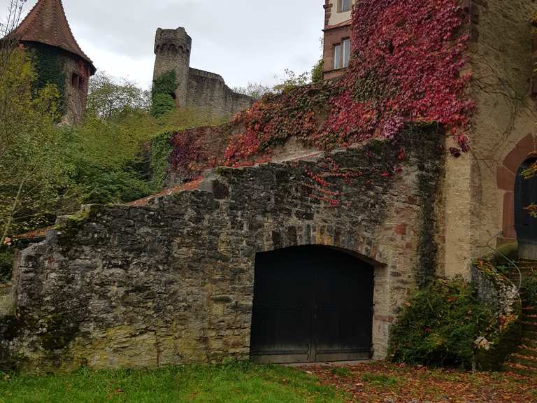 Burg Neidenstein: Mountainbike-Touren und -Trails | komoot