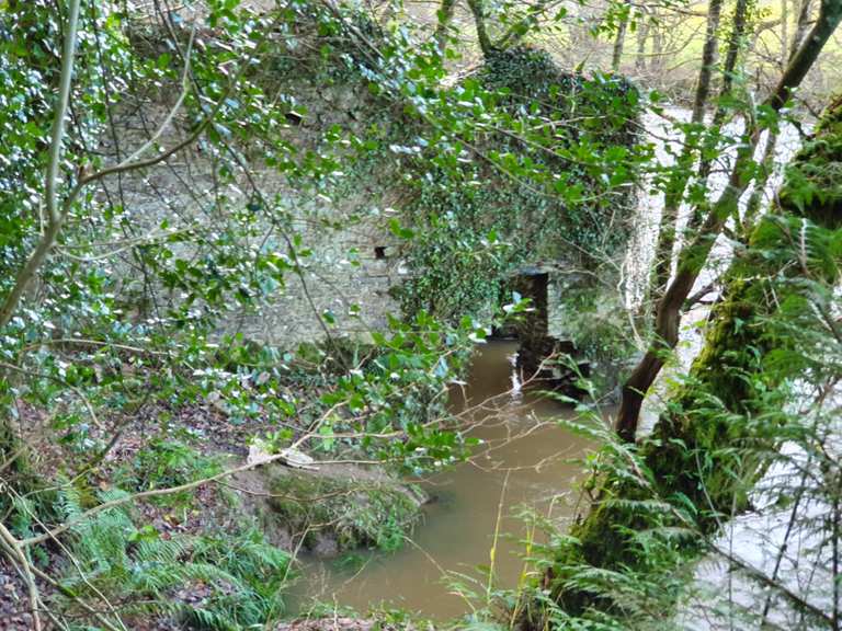 Halsdon Nature Reserve: Wanderungen und Rundwege | komoot