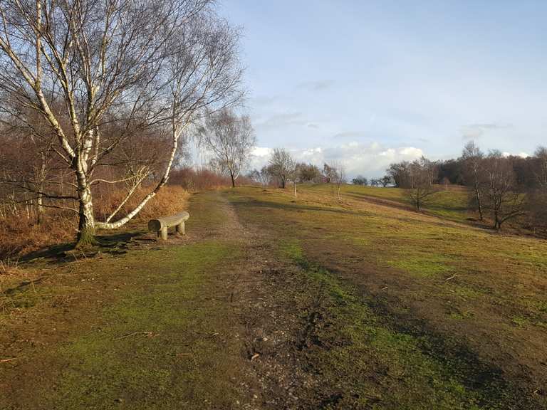 Downs Banks Routes for Walking and Hiking | Komoot